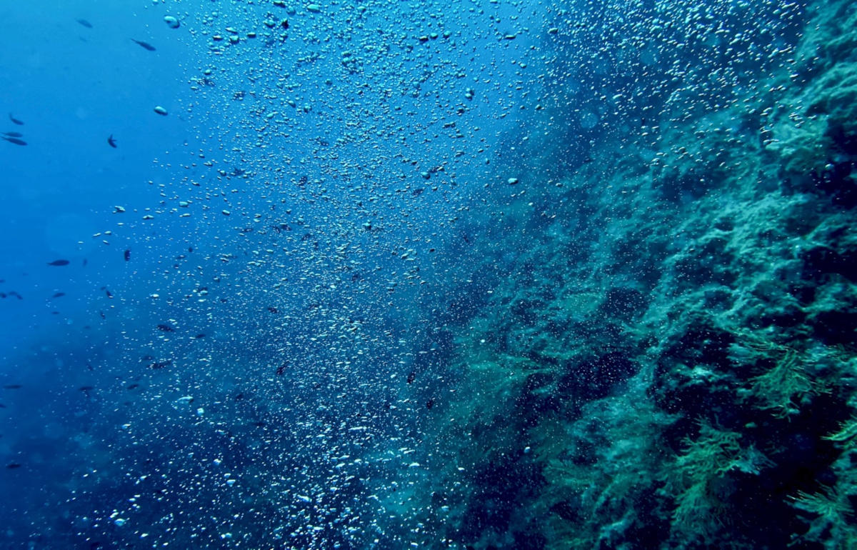 PANIC UNDERWATER: Managing panic in SCUBA diving; Recognition, response ...