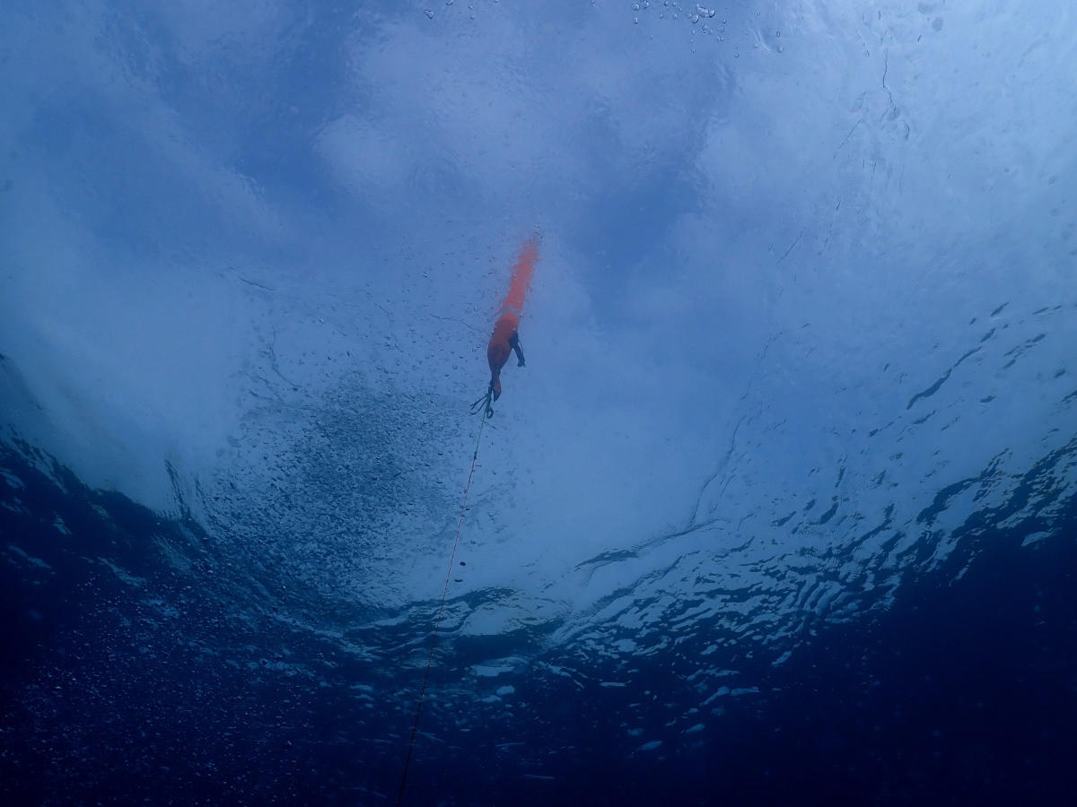 PANIC UNDERWATER: Managing panic in SCUBA diving; Recognition, response ...
